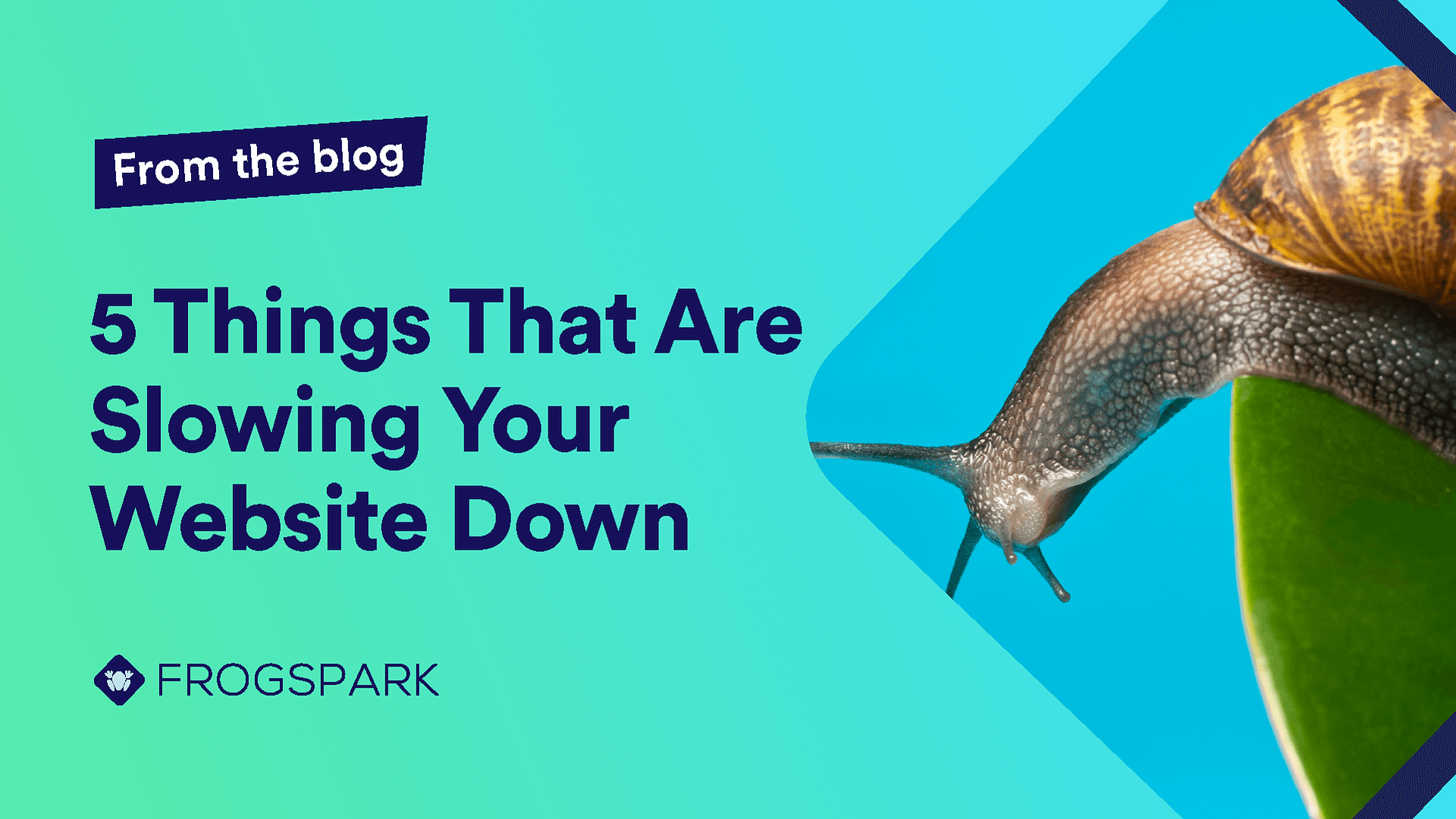 5 Things Slowing Your Website Down & How to Fix Them