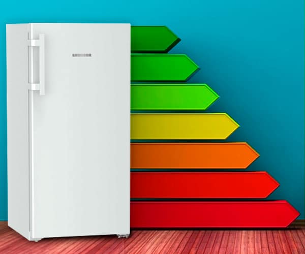 Fridge Freezer: Buying Guide - Appliance City
