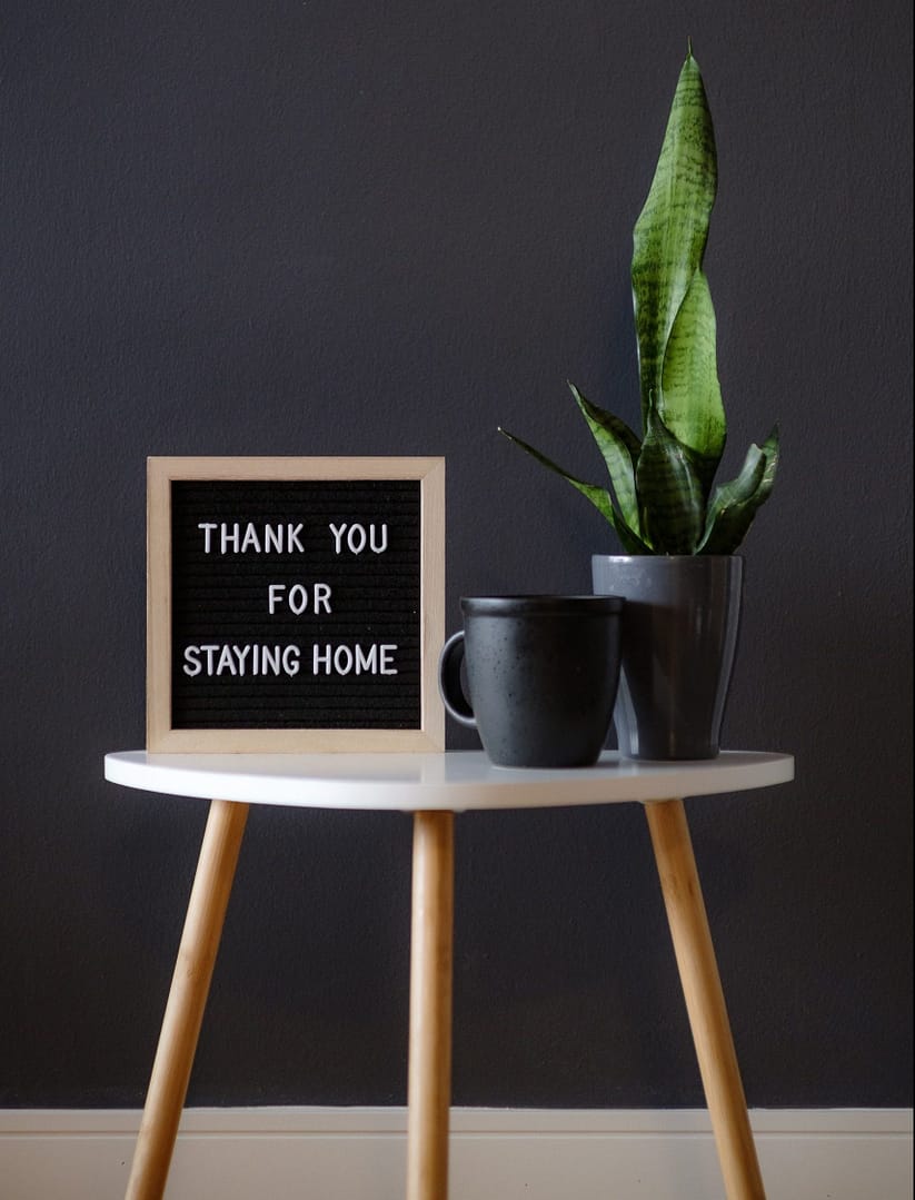 A Look Back at the Best At-Home Lockdown Trends - Appliance City