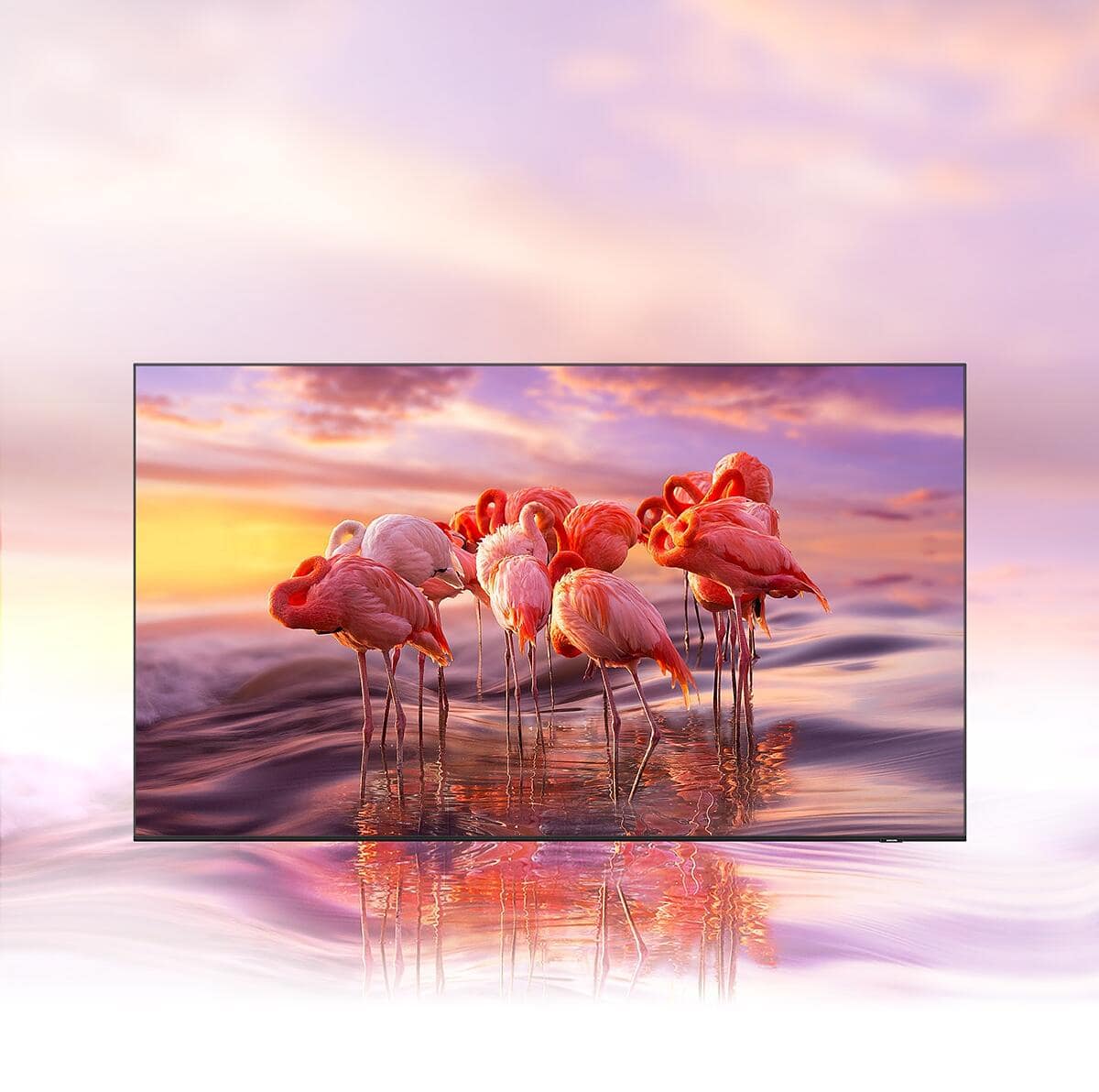 TVs & Soundbars | Samsung & LG Home Entertainment - Appliance City