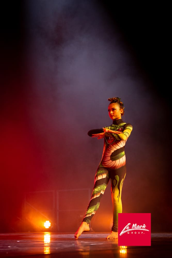 Le Mark Sponsor Can You Dance? Super Convention - Le Mark Floors