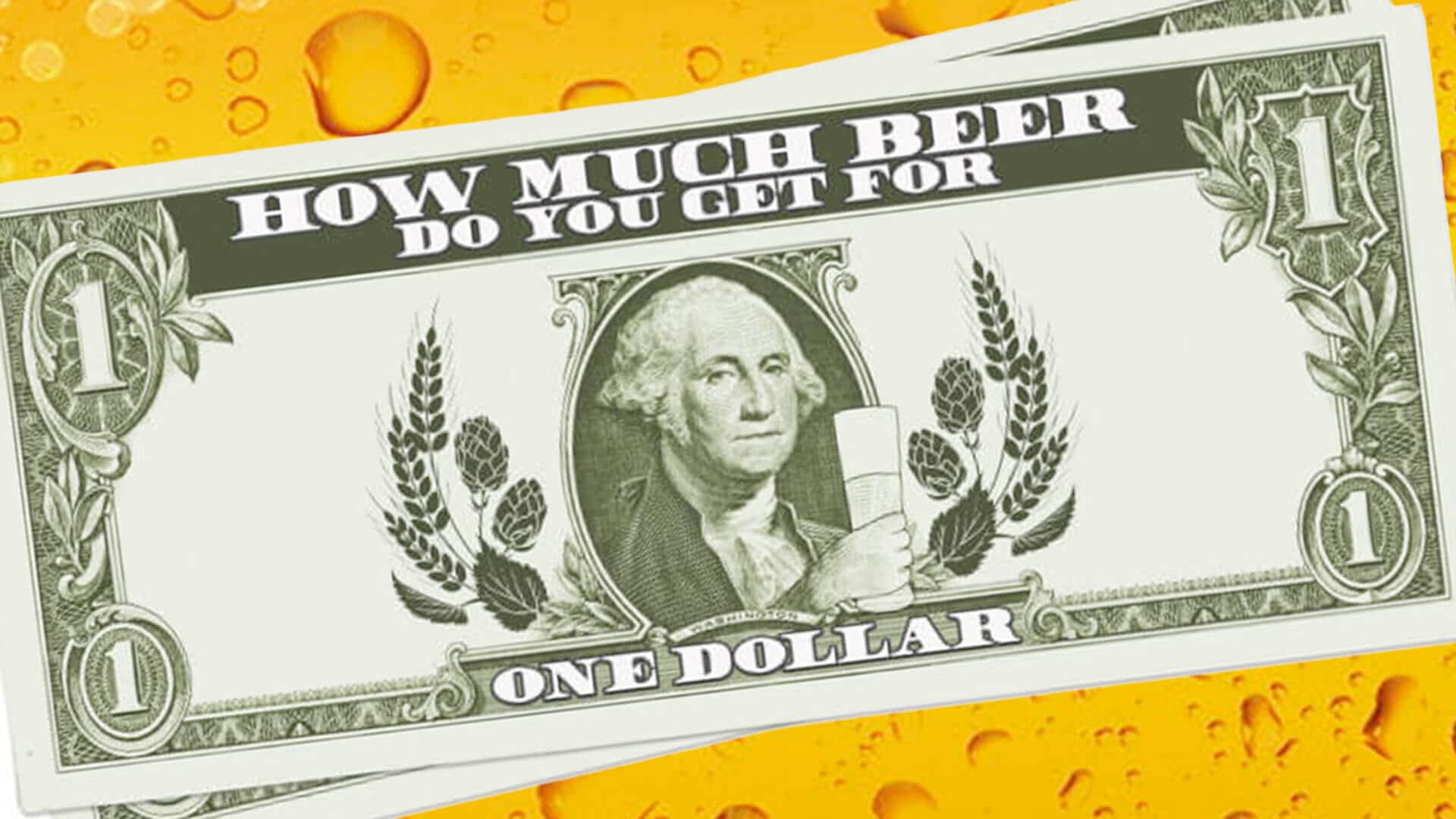 Amica International Case Study - Boom Online Marketing